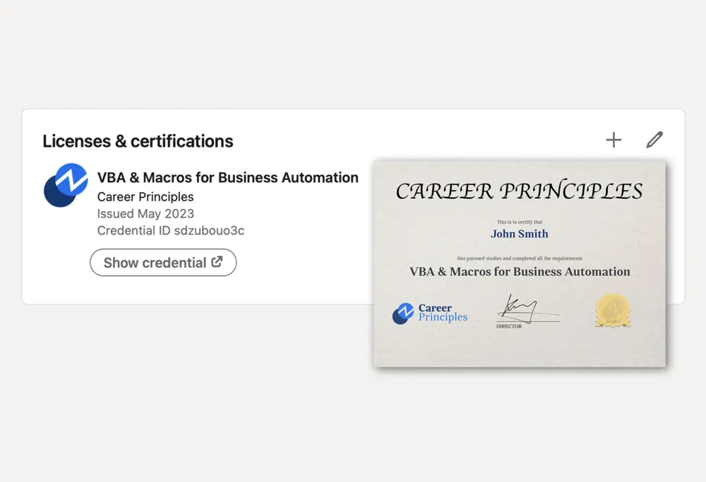 Excel VBA & Macros for Business Automation | Career Principles